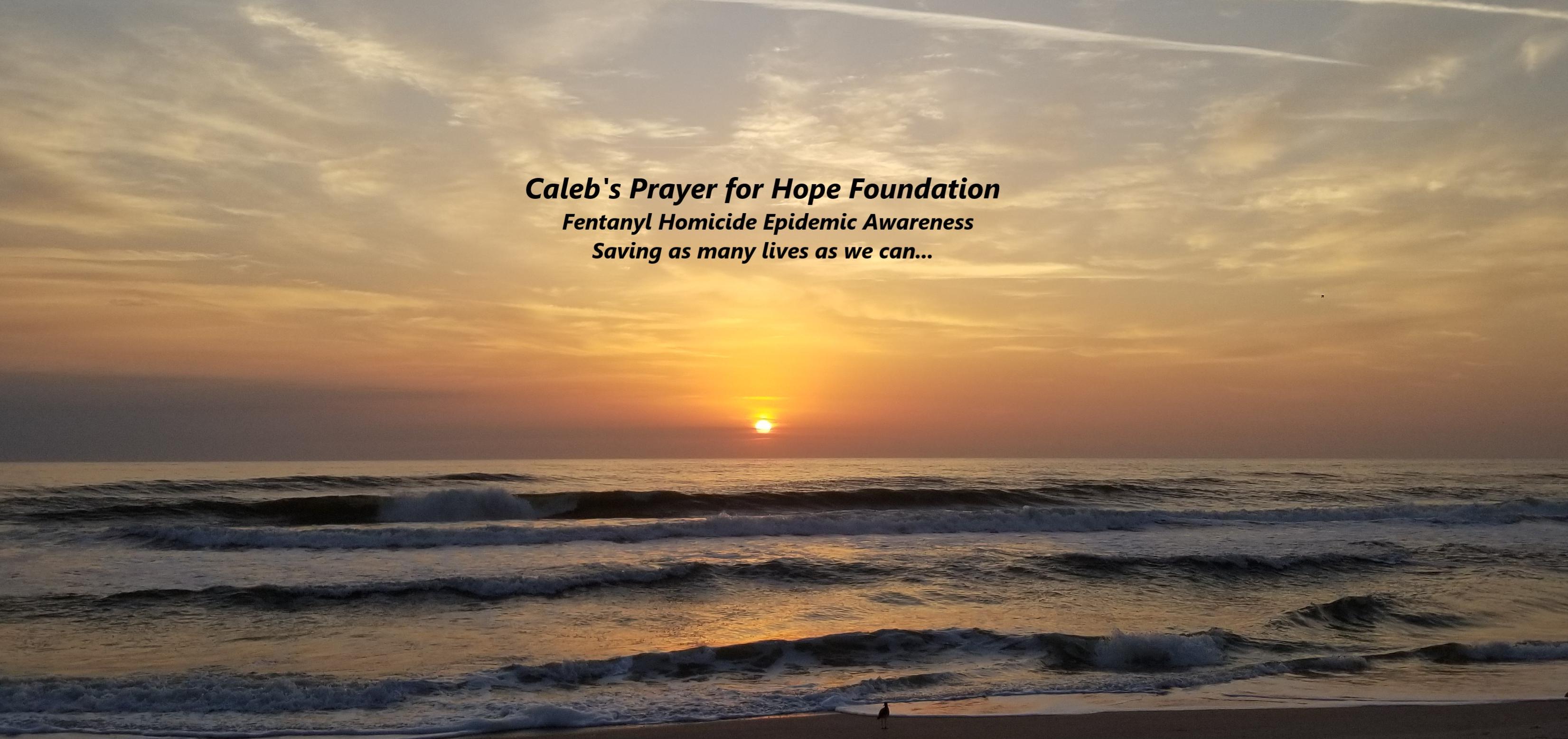 GiveSendGo - Caleb's Prayer for Hope Foundation, Inc.: The #1 Free ...