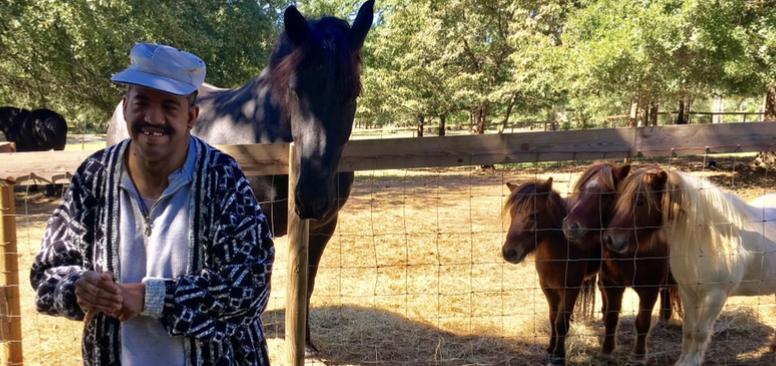 GiveSendGo - Veterans Equine Therapy at Unbridled Joy, Inc.: The #1 ...