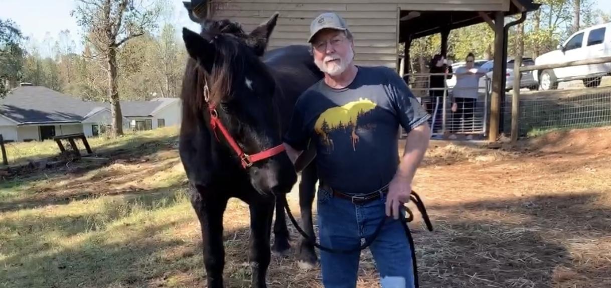 GiveSendGo - Veterans Equine Therapy at Unbridled Joy, Inc.: The #1 ...